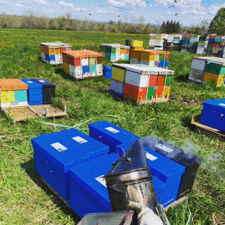 Welcome to Mainebeekeepers - Maine State Beekeepers Association Website